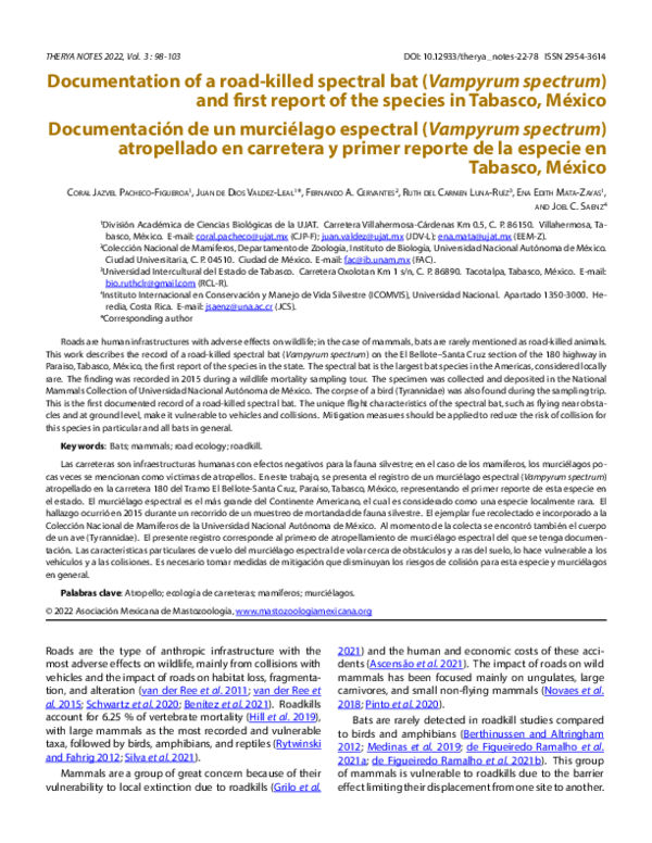 (PDF) Documentation of a road-killed spectral bat (Vampyrum spectrum ...