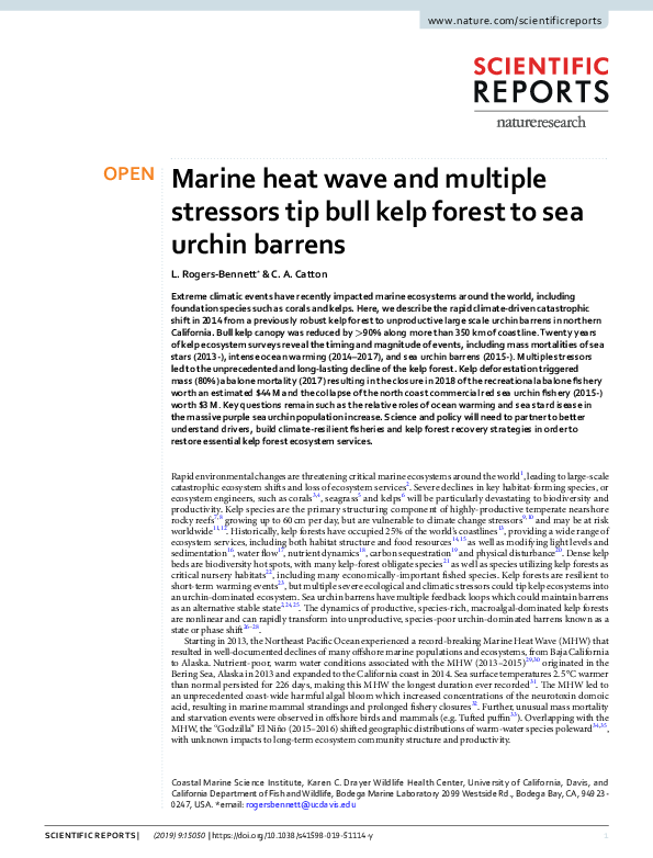 (PDF) Marine heat wave and multiple stressors tip bull kelp forest to sea urchin barrens | Laura ...