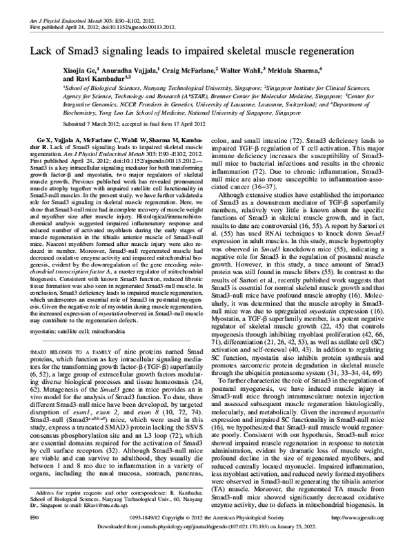 (PDF) Lack of Smad3 signaling leads to impaired skeletal muscle ...