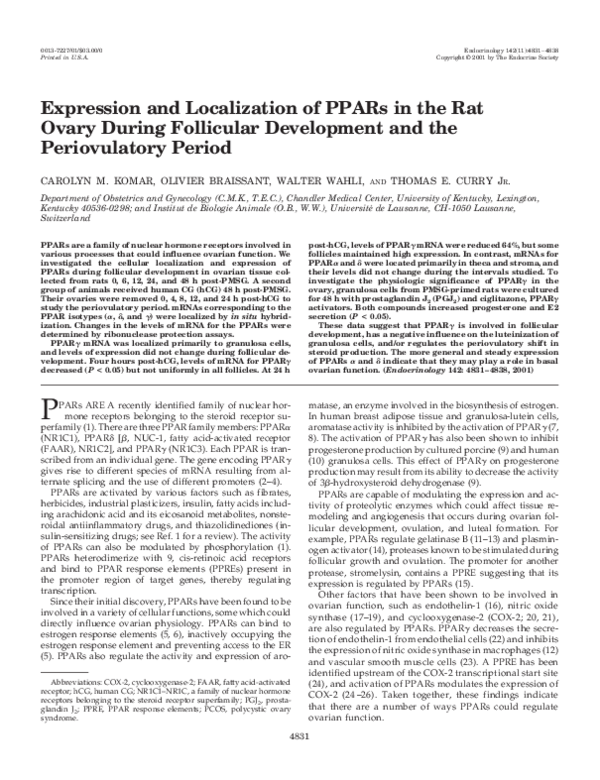 (PDF) Expression and Localization of PPARs in the Rat Ovary During ...
