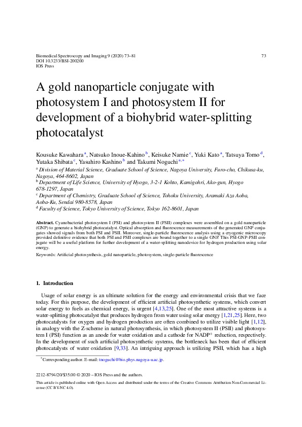 (PDF) A gold nanoparticle conjugate with photosystem I and photosystem II for development of a ...