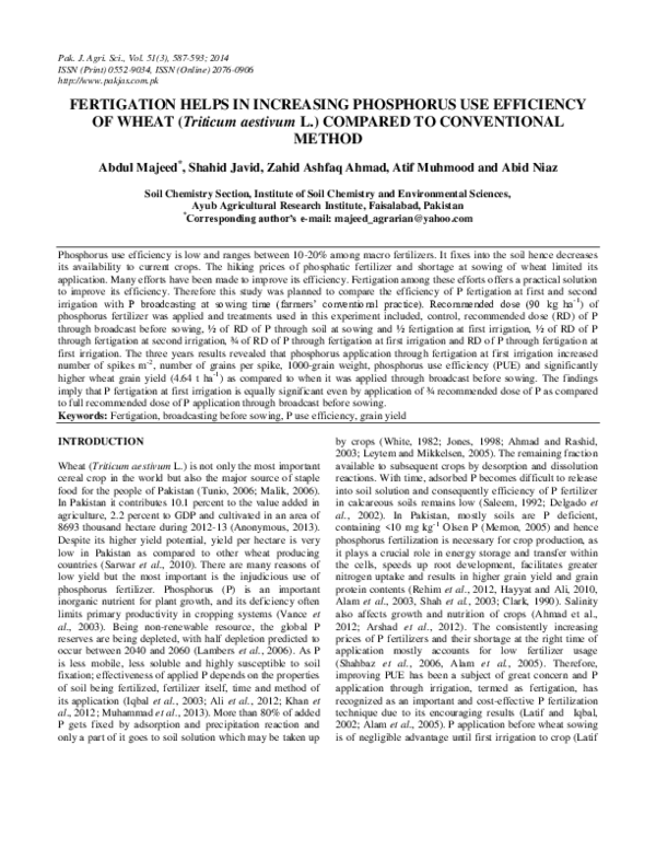(PDF) FERTIGATION HELPS IN INCREASING PHOSPHORUS USE EFFICIENCY OF WHEAT (Triticum aestivum L ...