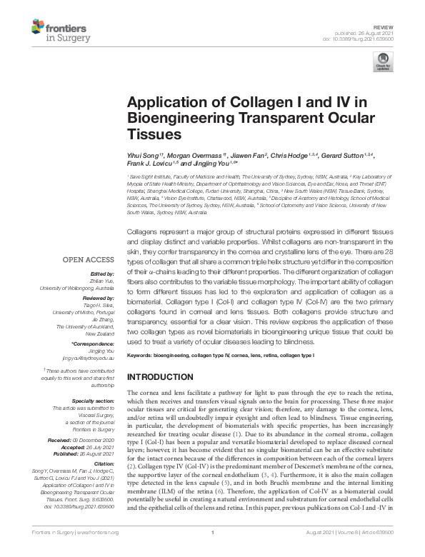 (PDF) Application of Collagen I and IV in Bioengineering Transparent ...