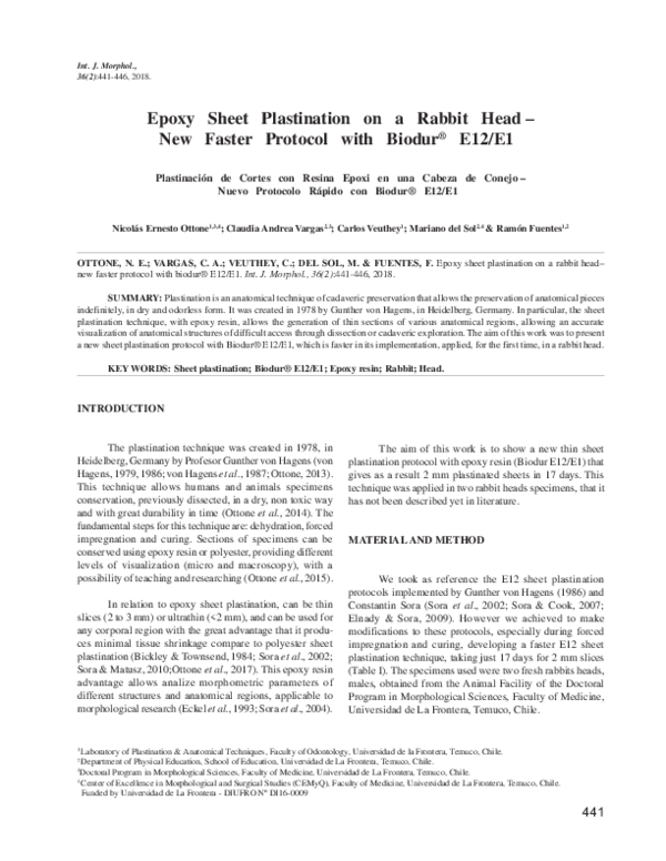 (PDF) Rapid Epoxy Sheet Plastination Protocol for Rabbit Heads