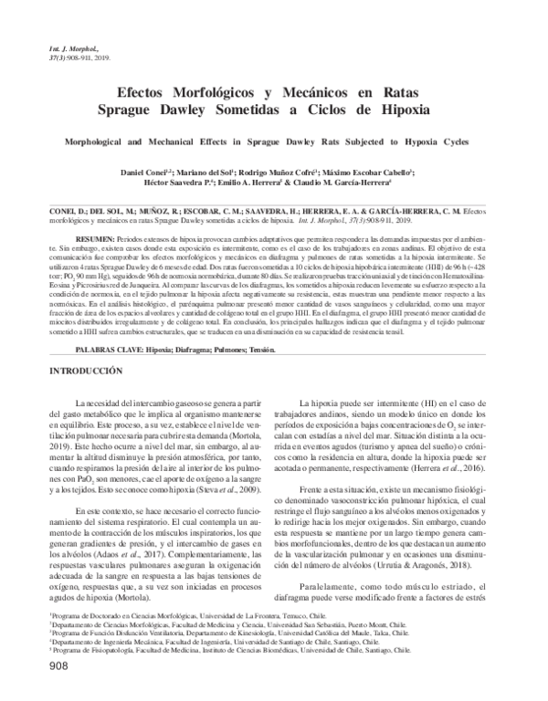 (PDF) Efectos Morfológicos y Mecánicos en Ratas Sprague Dawley ...