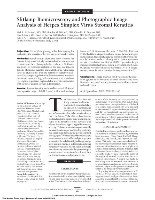 (PDF) Slitlamp Biomicroscopy and Photographic Image Analysis of Herpes ...