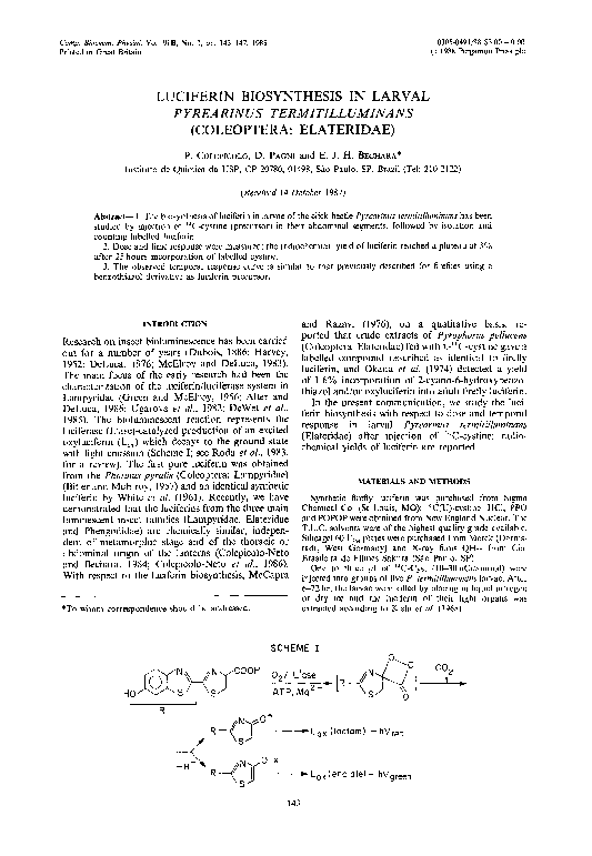 (PDF) Luciferin biosynthesis in larval Pyrearinus termitilluminans ...
