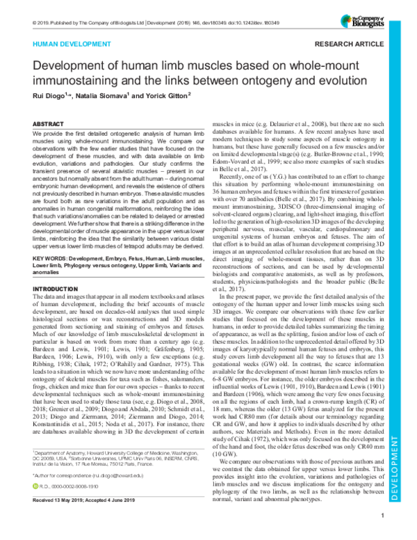 (PDF) Development of Limb Muscles in Tetrapods