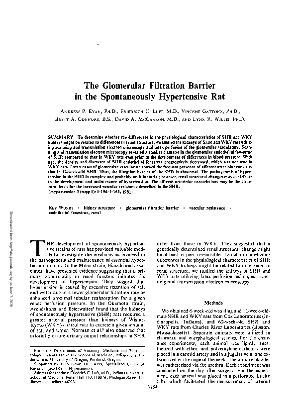 (PDF) The glomerular filtration barrier in the spontaneously ...