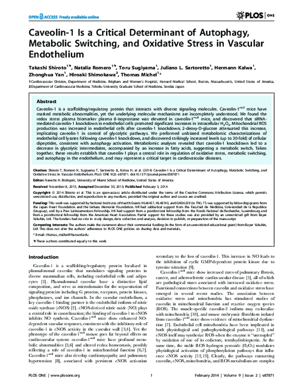 (PDF) Caveolin-1 is a Critical Determinant of Autophagy and Oxidative ...