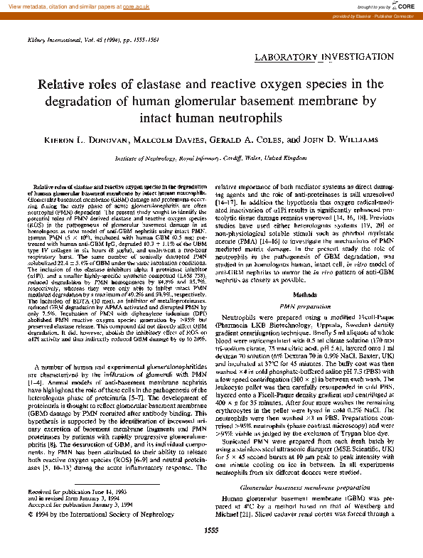 (PDF) Relative roles of elastase and reactive oxygen species in the degradation of human ...