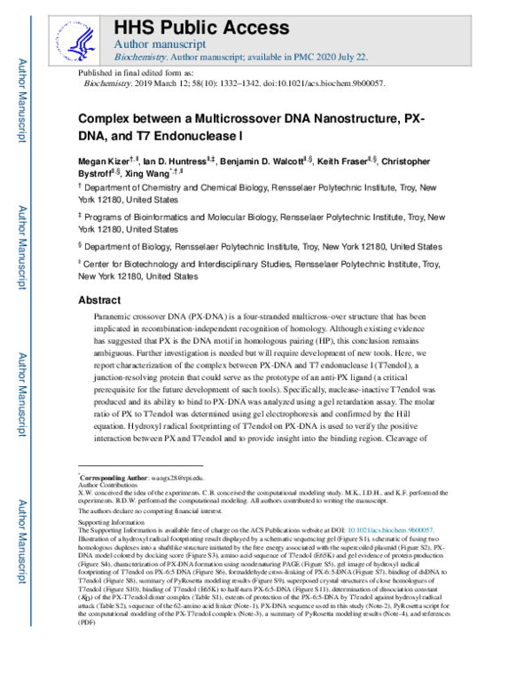 (PDF) Complex between a Multicrossover DNA Nanostructure, PX-DNA, and ...