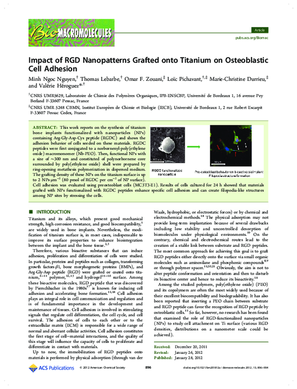 (PDF) Impact of RGD Nanopatterns Grafted onto Titanium on Osteoblastic ...