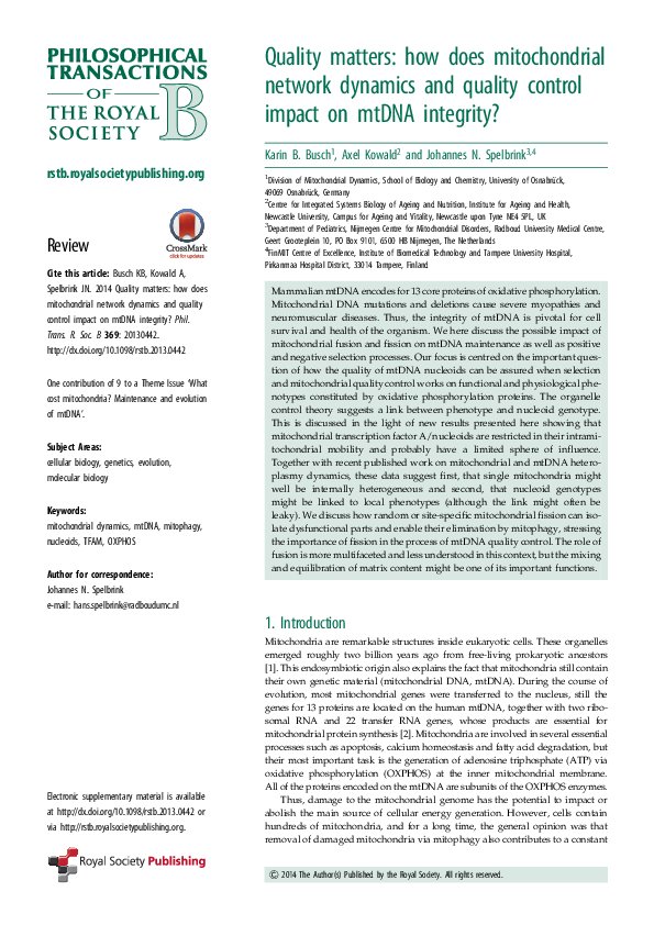 (PDF) Quality matters: how does mitochondrial network dynamics and ...