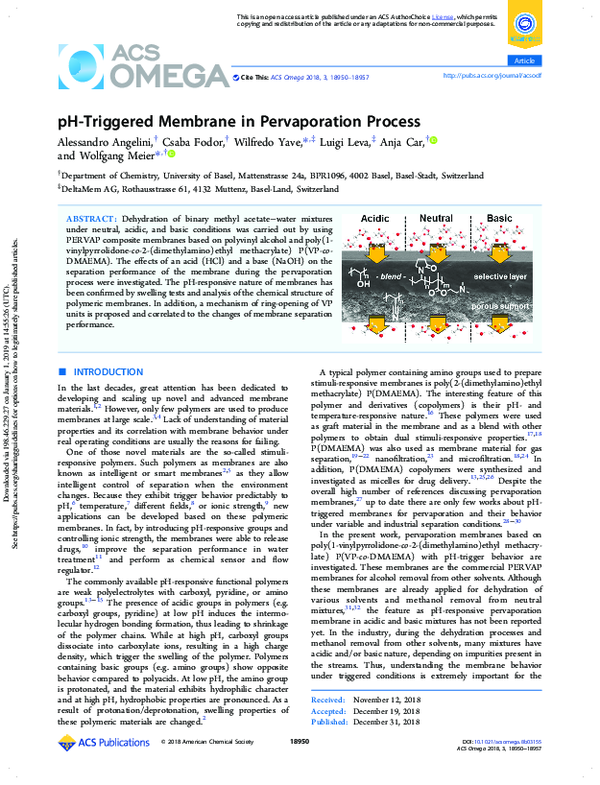 (PDF) pH-Triggered Membrane in Pervaporation Process