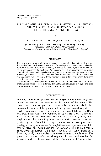 (PDF) A Light and Electron Microscopical Study of the Pyloric Caeca of ...