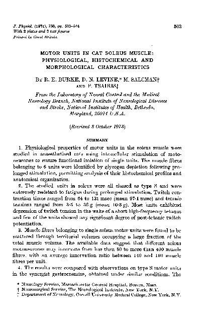 (PDF) Motor units in cat soleus muscle: physiological, histochemical ...