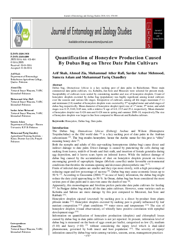 (PDF) Quantification of Honeydew Production Caused By Dubas Bug on ...