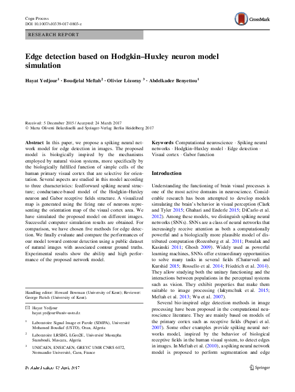 (PDF) Edge detection based on Hodgkin–Huxley neuron model simulation