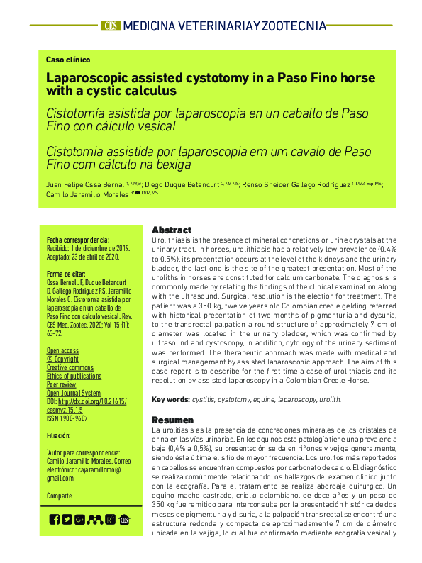 (PDF) Cistotomía asistida por laparoscopia en un caballo de Paso Fino ...