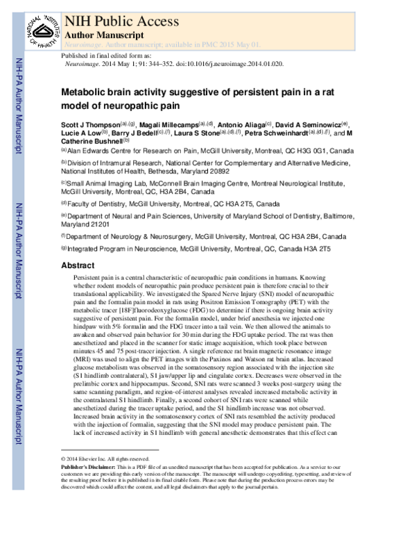(PDF) Metabolic brain activity suggestive of persistent pain in a rat ...
