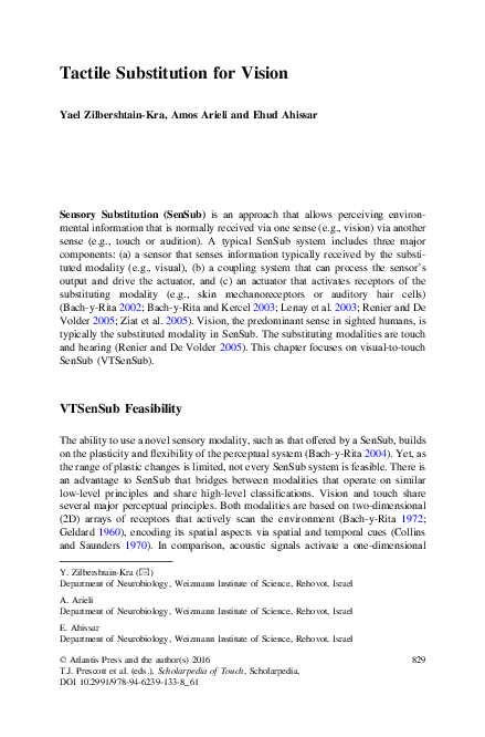 (PDF) Tactile Substitution for Vision