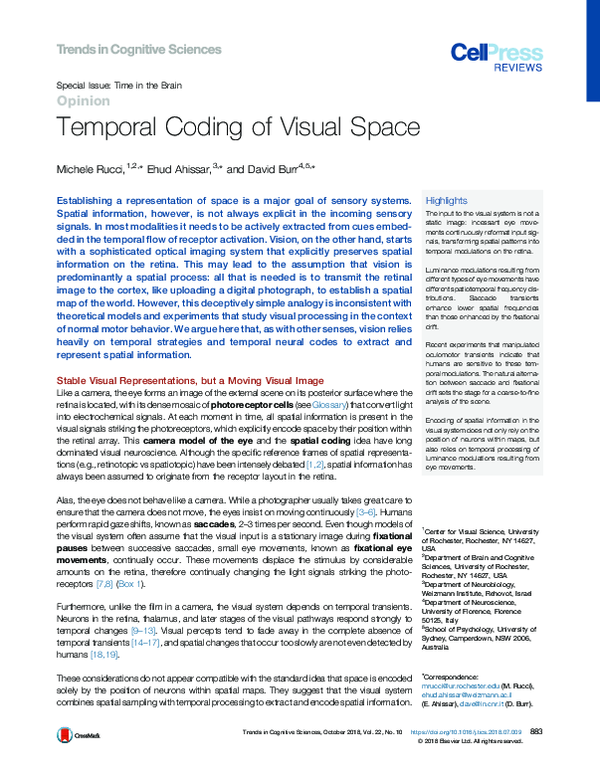 (PDF) Temporal Coding of Visual Space