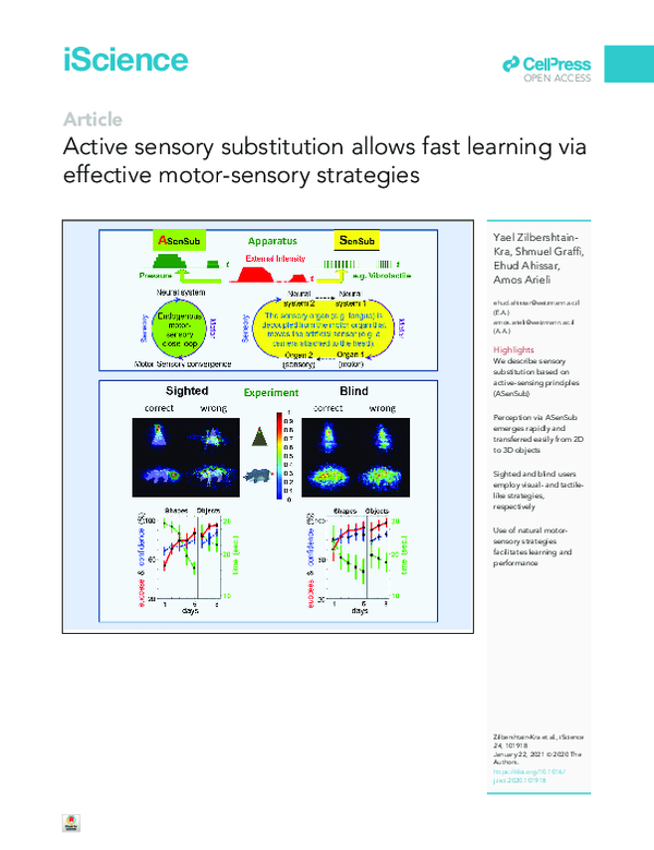 (PDF) Active Sensory Substitution Allows Fast Learning Via Effective Motor-Sensory Strategies