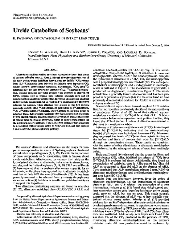 (PDF) Ureide Catabolism of Soybeans