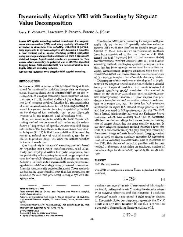 (PDF) Dynamically adaptive MRI with encoding by singular value decomposition | Lawrence Panych ...