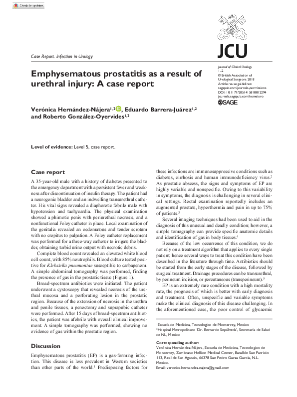 (PDF) Emphysematous prostatitis as a result of urethral injury: A case ...