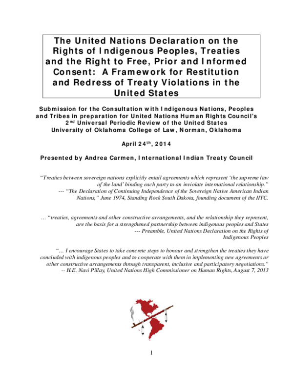 (PDF) Indigenous Struggles in Standard-Setting: The United Nations ...