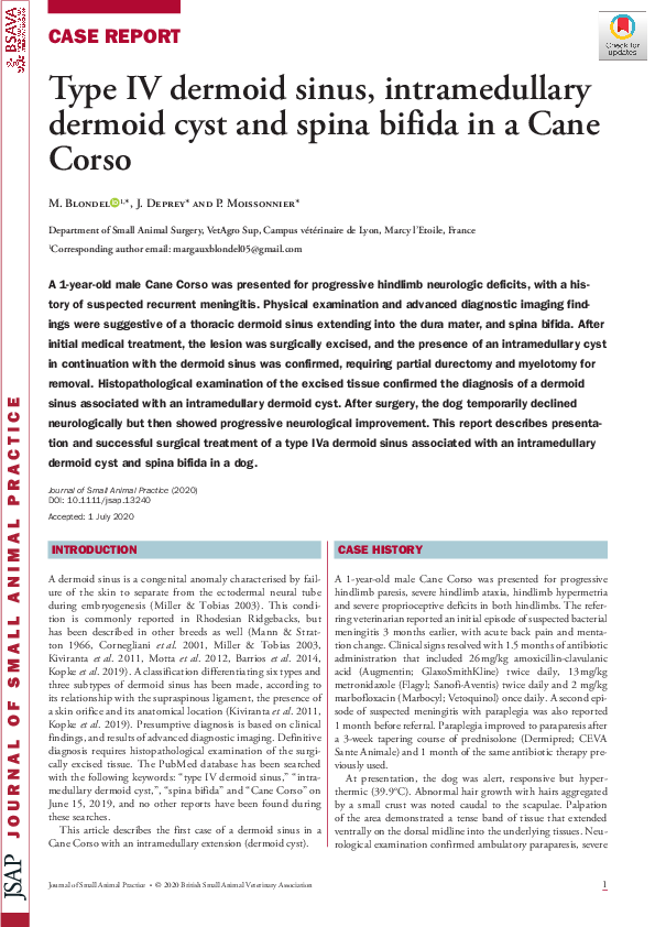 (PDF) Type IV dermoid sinus, intramedullary dermoid cyst and spina ...