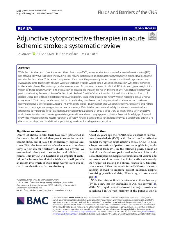 (PDF) Adjunctive cytoprotective therapies in acute ischemic stroke: a ...