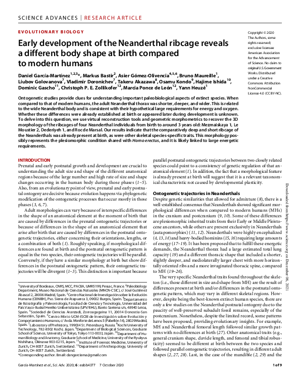 (PDF) Early development of the Neanderthal ribcage reveals a different ...
