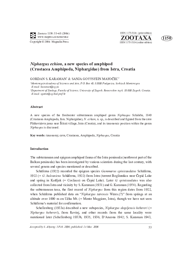 (PDF) Niphargus echion, a new species of amphipod (Crustacea Amphipoda ...