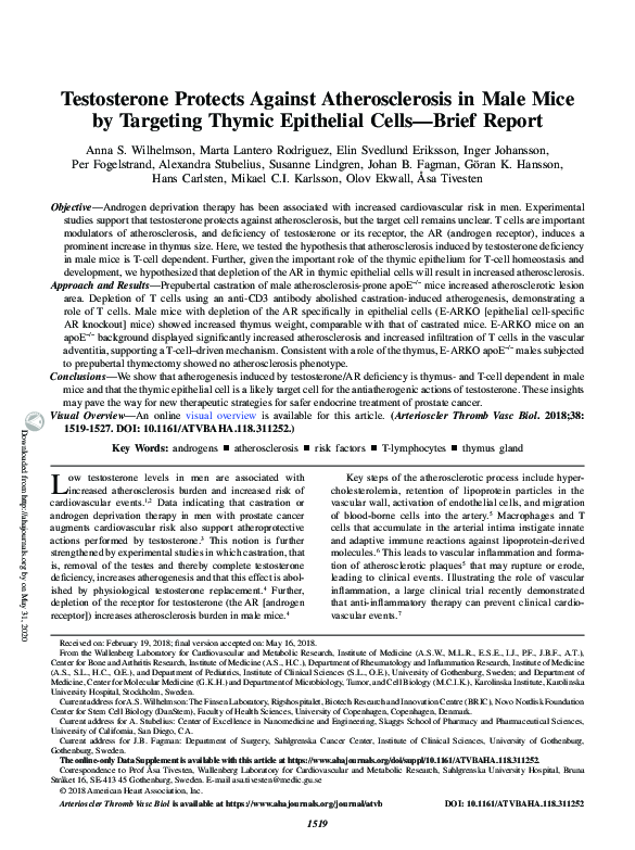 (PDF) Testosterone Protects Against Atherosclerosis in Male Mice by ...