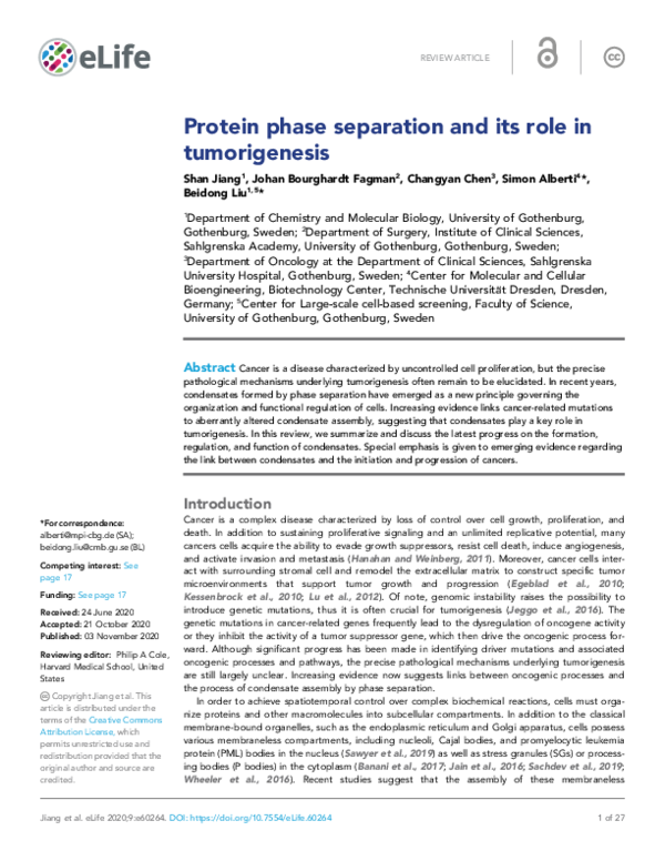 (PDF) Protein phase separation and its role in tumorigenesis