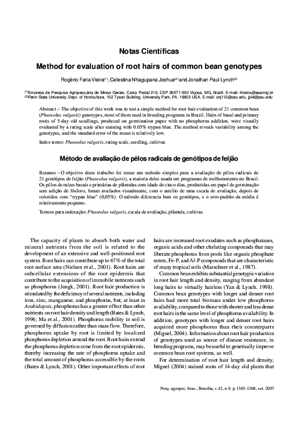 (PDF) Method for evaluation of root hairs of common bean genotypes