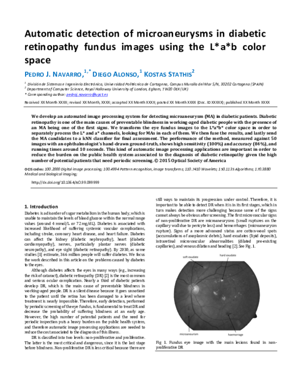 (PDF) Automatic detection of microaneurysms in diabetic retinopathy ...