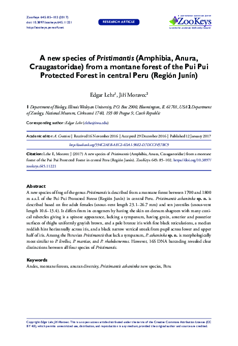 (PDF) A new species of Pristimantis (Amphibia, Anura, Craugastoridae ...