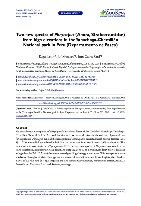 (PDF) Two new species of Phrynopus (Anura, Strabomantidae) from high ...