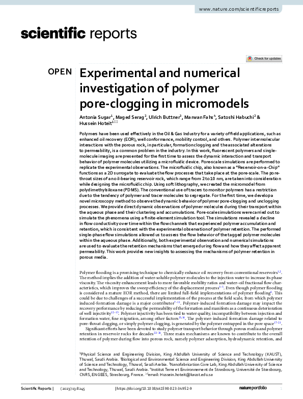 (PDF) Experimental and numerical investigation of polymer pore-clogging in micromodels