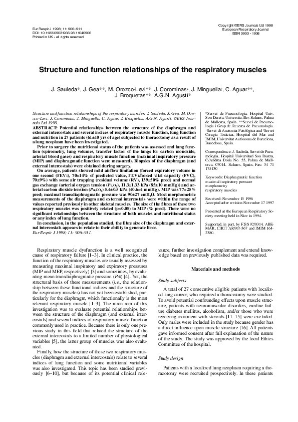 (PDF) Structure and function relationships of the respiratory muscles