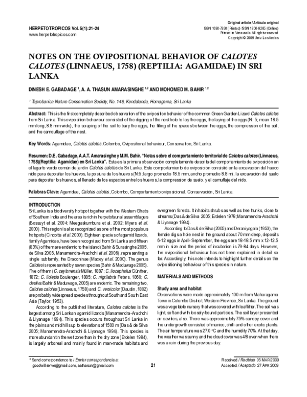 (PDF) Notes on the ovipositional behavior of calotes calotes (Linnaeus ...