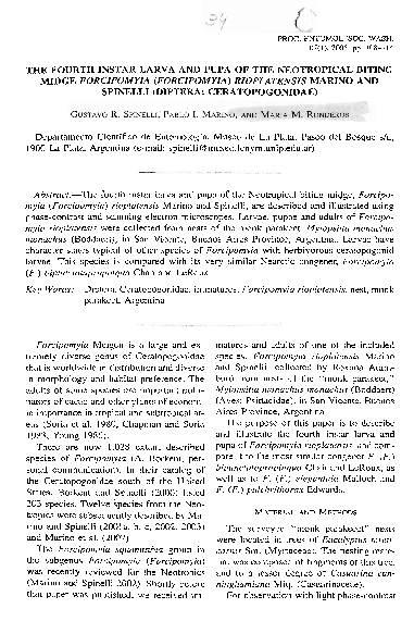 (PDF) Description of Forcipomyia rioplatensis Larvae