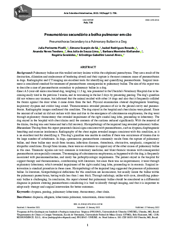 (PDF) Pneumothorax secondary to a Pulmonary Bullae in a dog