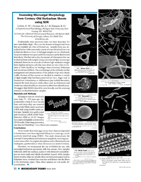 (PDF) Assessing Microalgal Morphology from Century-Old Herbarium Sheets ...