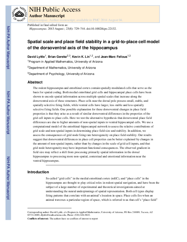 (PDF) Spatial scale and place field stability in a grid-to-place cell model of the dorsoventral ...