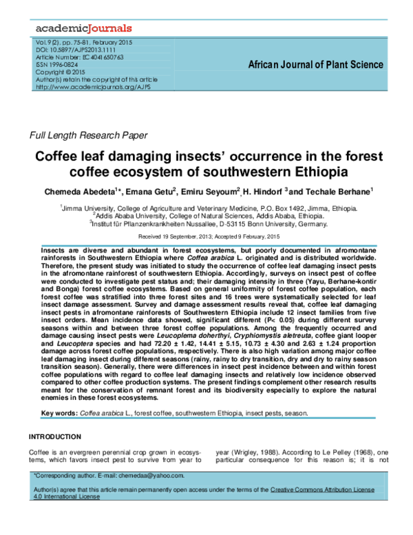 (PDF) Coffee leaf damaging insects occurrence in the forest coffee ...